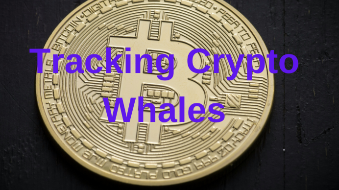 Tracking Crypto Whales