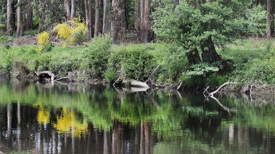 Trip to Couce - Taberna da Avó - Valongo | Portugal