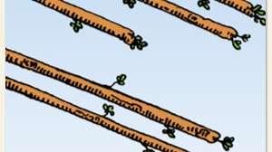 Venus begins a new cycle with its entry into Libra, creating a perfect ...