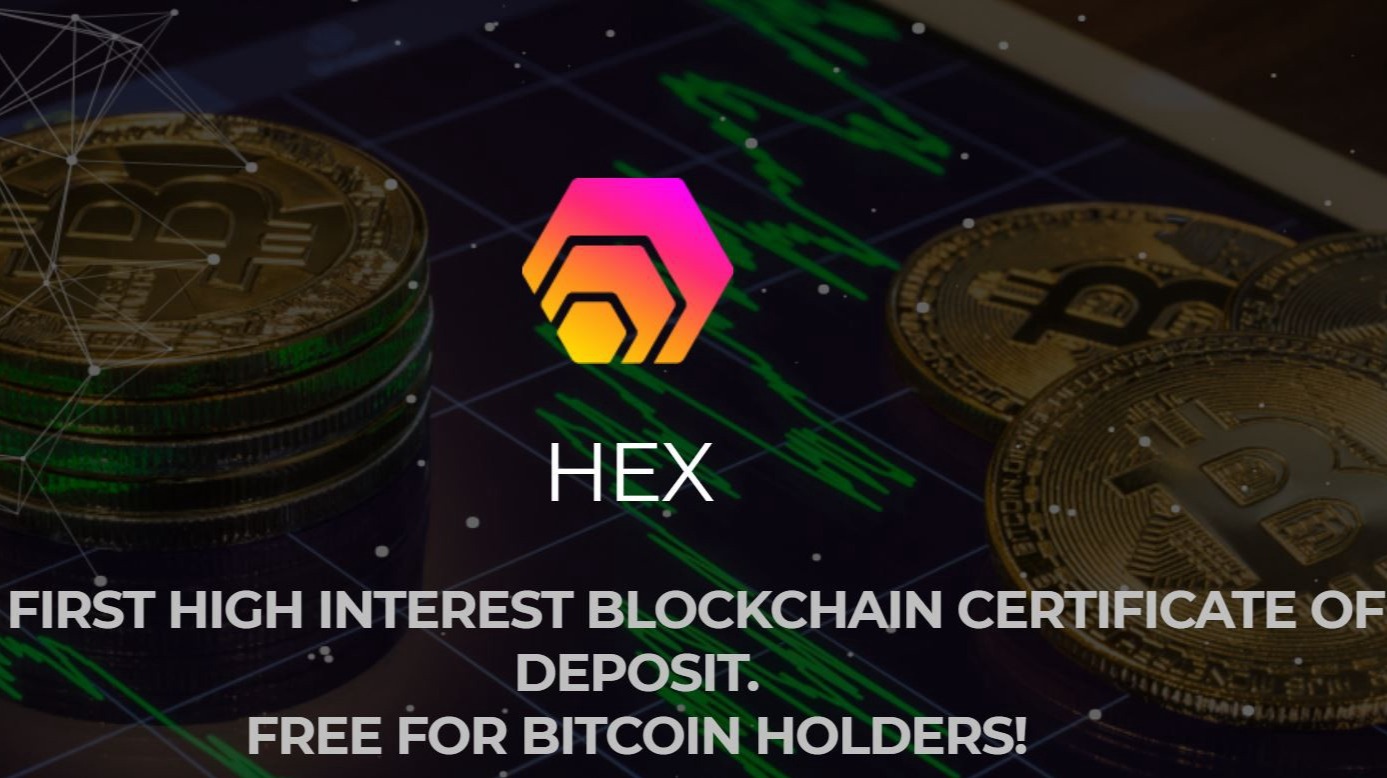 HEX COIN "should we invest for passive interest earning