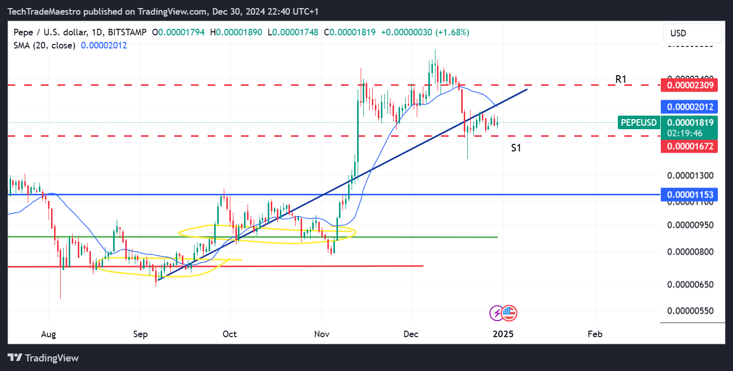 PEPE/USD Analysis: Support and Resistance Levels with Year-End ...