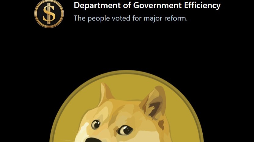 Elon Musk launches DOGE website with Dogecoin logo, and DOGE went up 11%