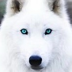 Robert Pacione | Publish0x