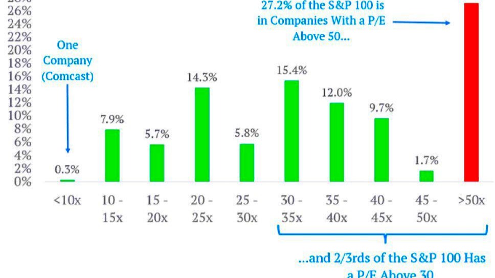The S&P 100 Bubble: When Company Valuations Detach from Reality
