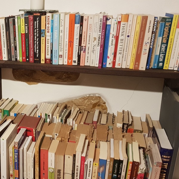 Books I am reading | Publish0x