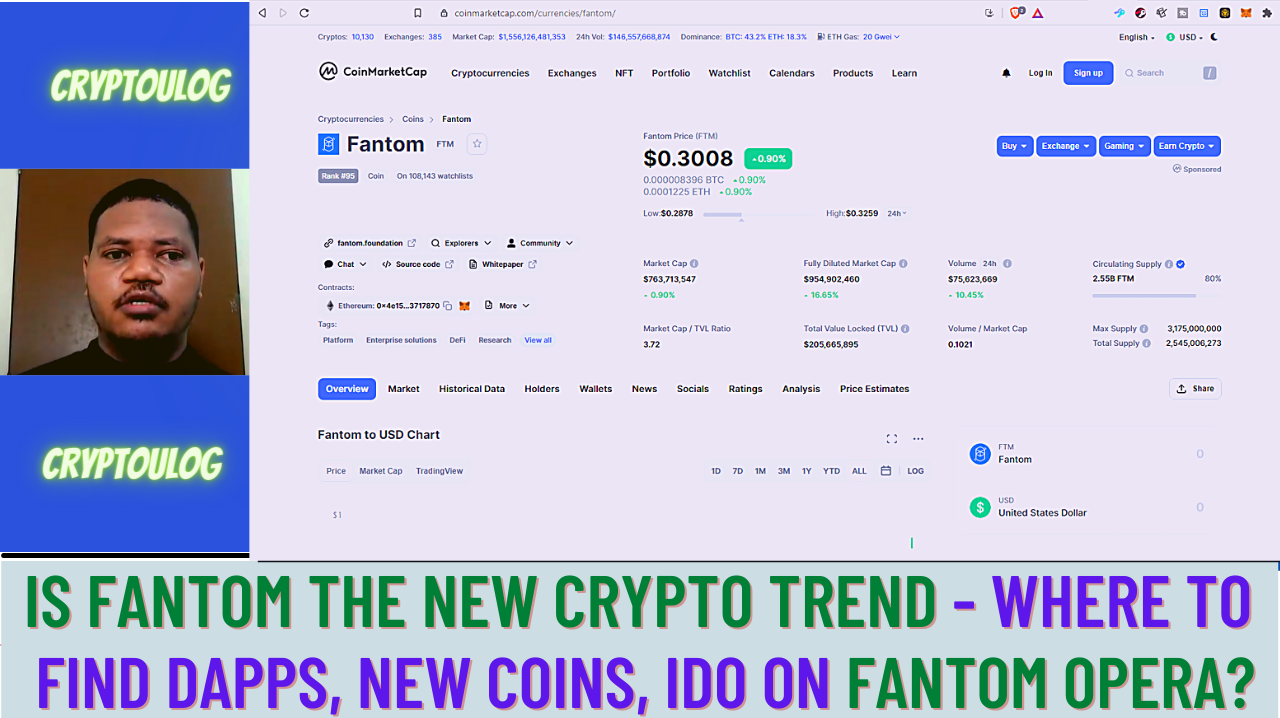 Is Fantom The New Crypto Trend - Where To Find DAPPs, New Coins, IDO On ...