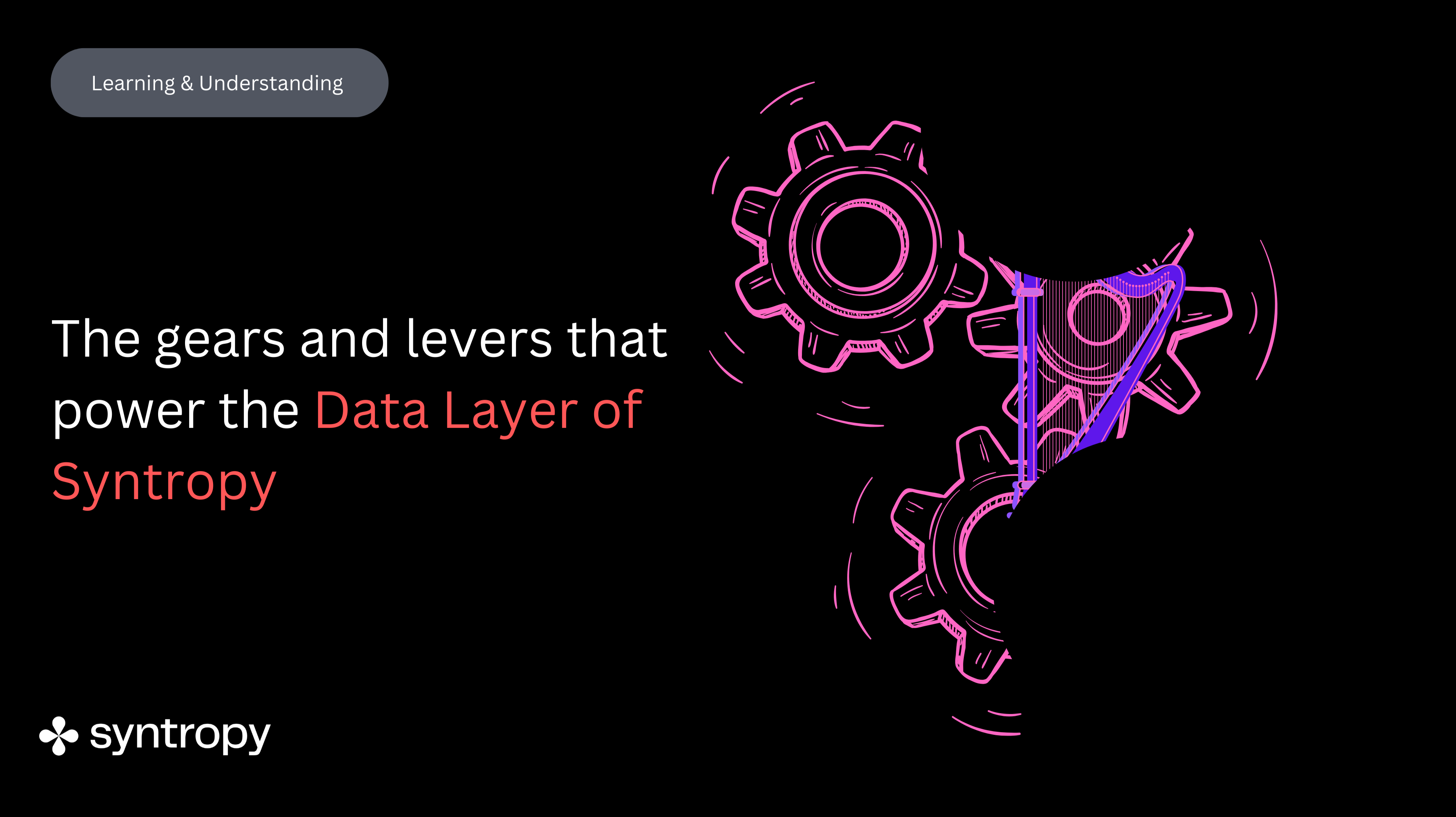 The gears and levers that power the Data Layer of Syntropy