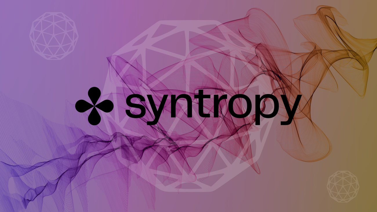 Short piece about Syntropy before the big party
