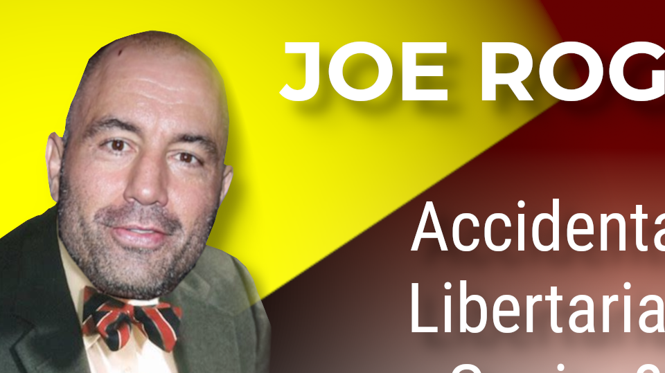 Did Joe Rogan Accidentally Invent a Libertarian World Without Government?
