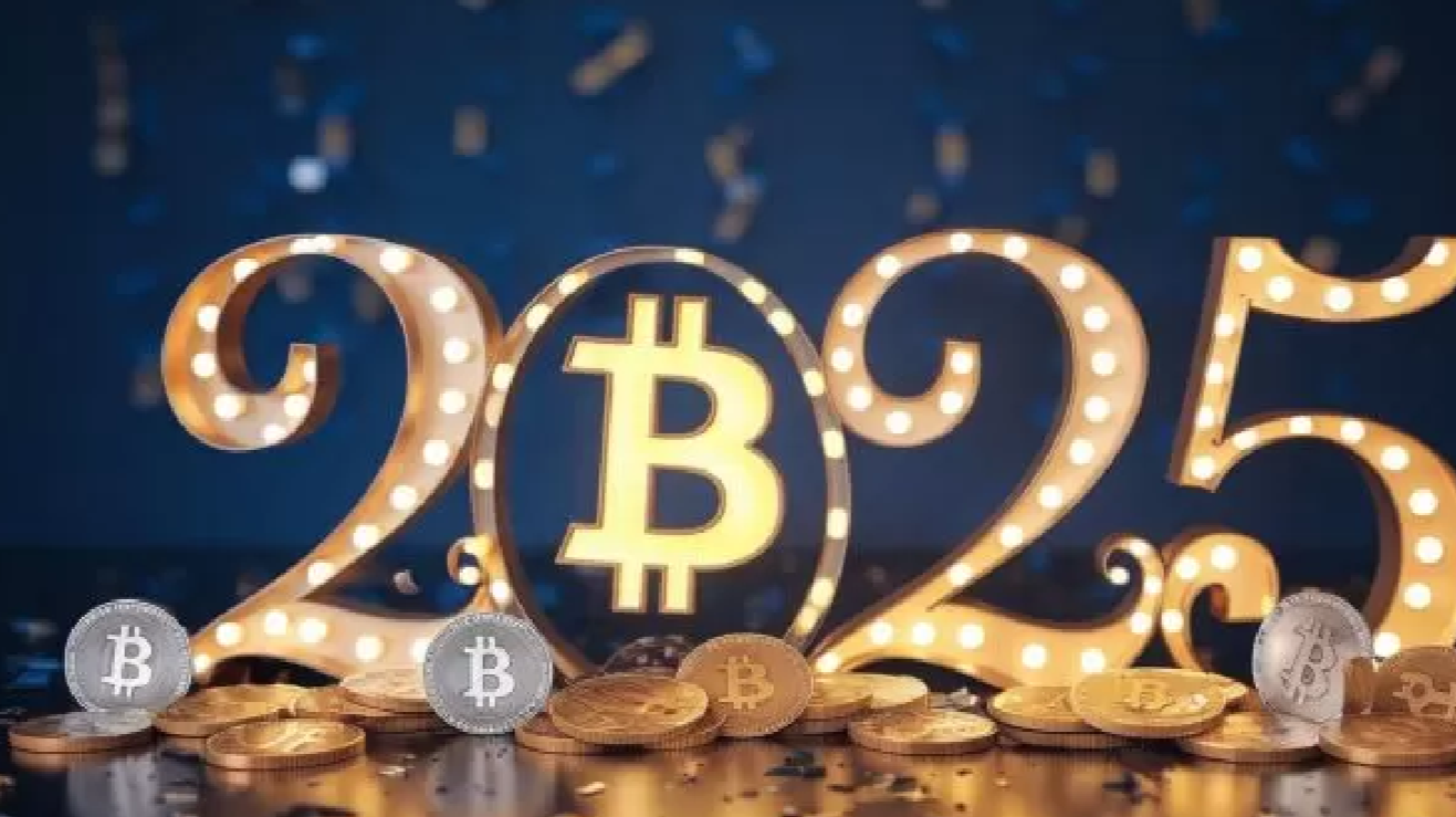 2025 the Year BTC gained full acceptance