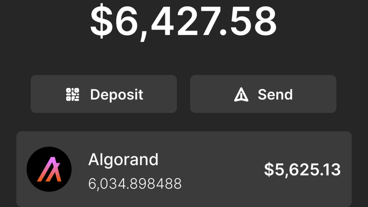 Here's a sneak peek of new algorand wallet. Algorand wallet you‘ll love.