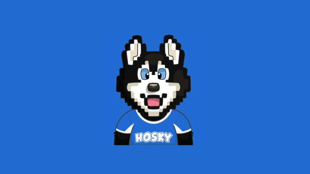 Hosky The Largest Meme Coin On The Cardano Network