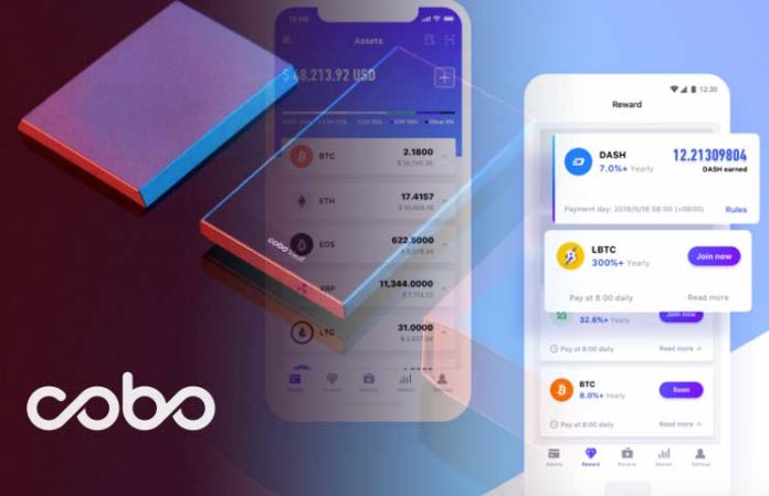 Cobo Wallet ile Birikimleriniz Güvende