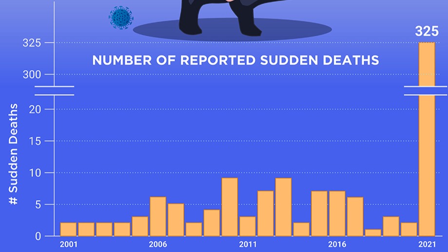 Do you know? SADS - Sudden Adult Death Syndrome