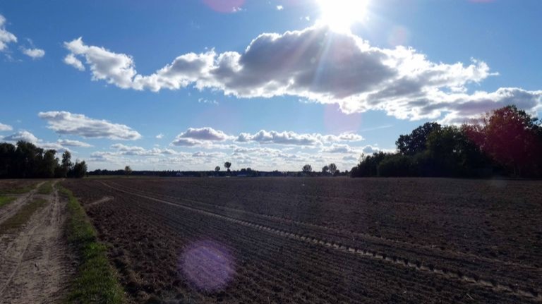 It's grey and dull outside, so I'll warm up the atmosphere a bit with ...