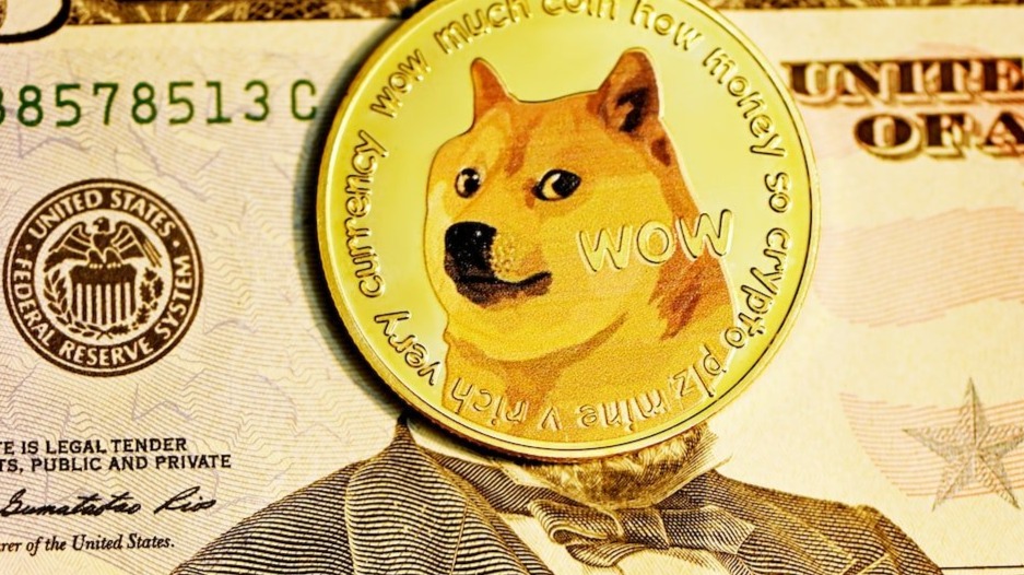 Aping into DOGE....