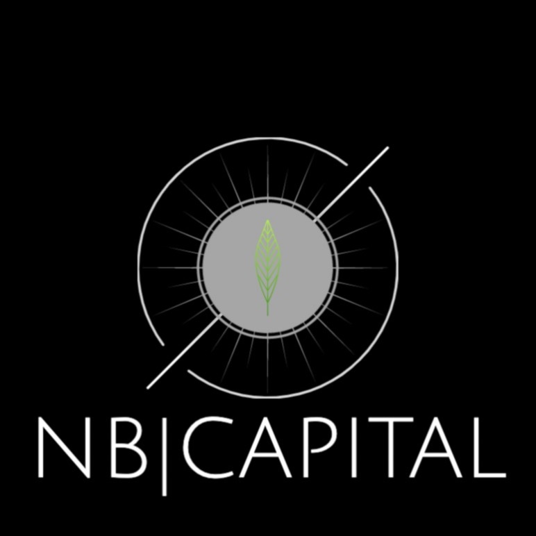 NB|Capital | Publish0x
