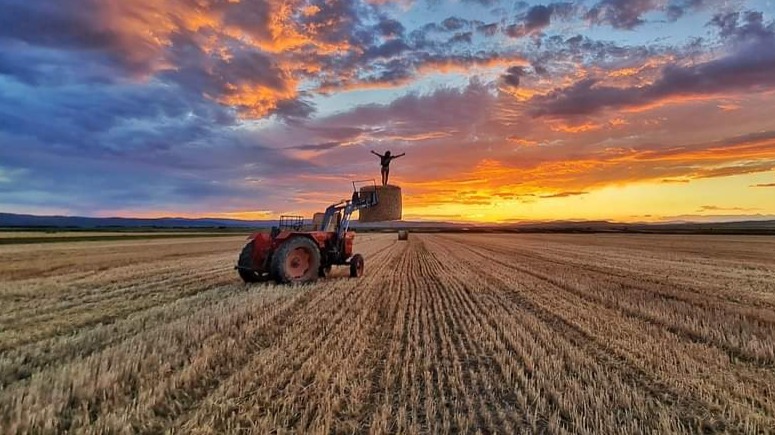 Sarcasm Sunday #47 - Mint, Web3, NFTs and Humble Tractors