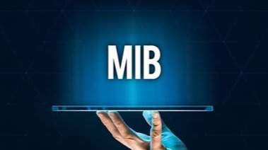 MIB, the next generation of Blockchain system Network