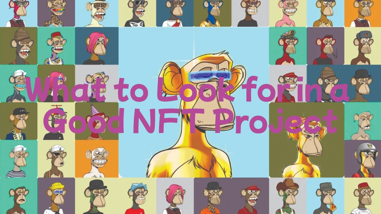 What to Look for in a Good NFT Project