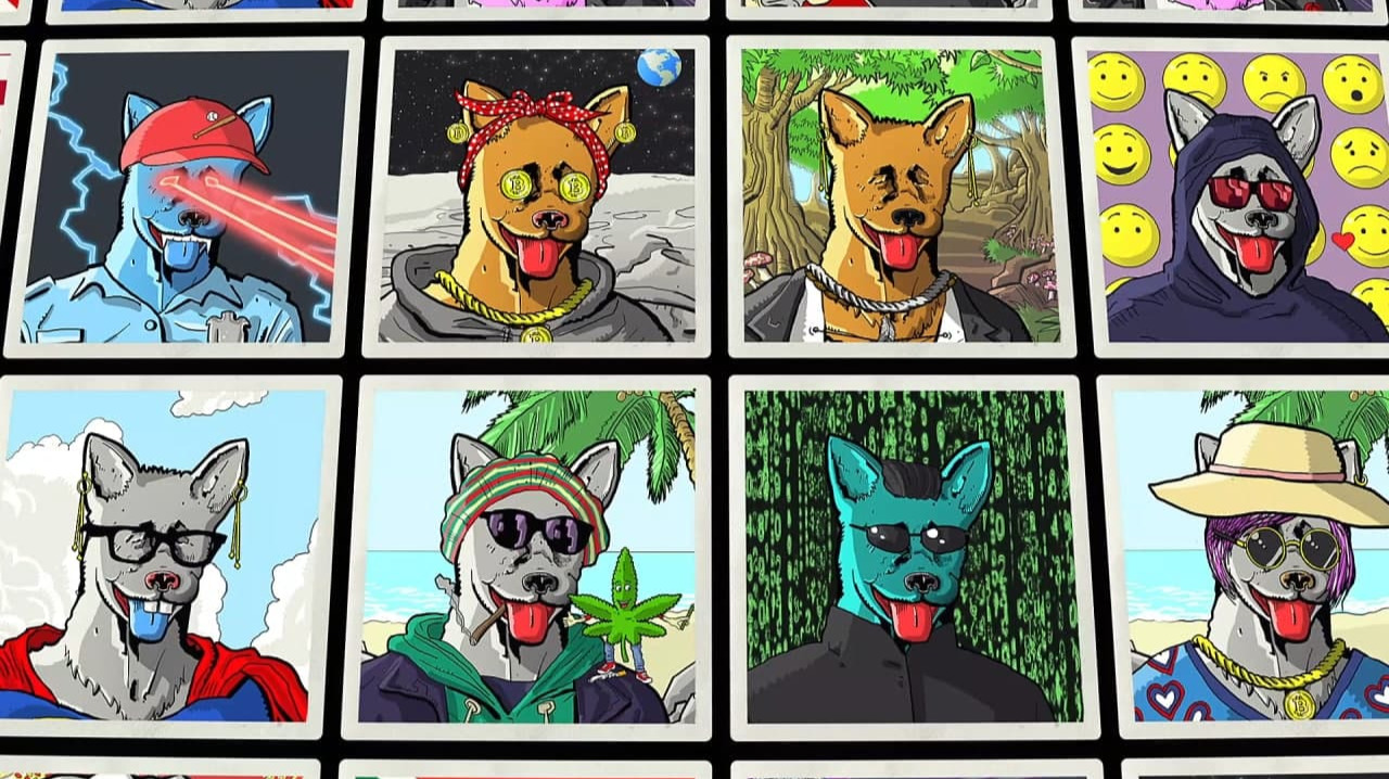 Saving Animals With NFTs: Interview with Co-Founders of PACT and Bear ...