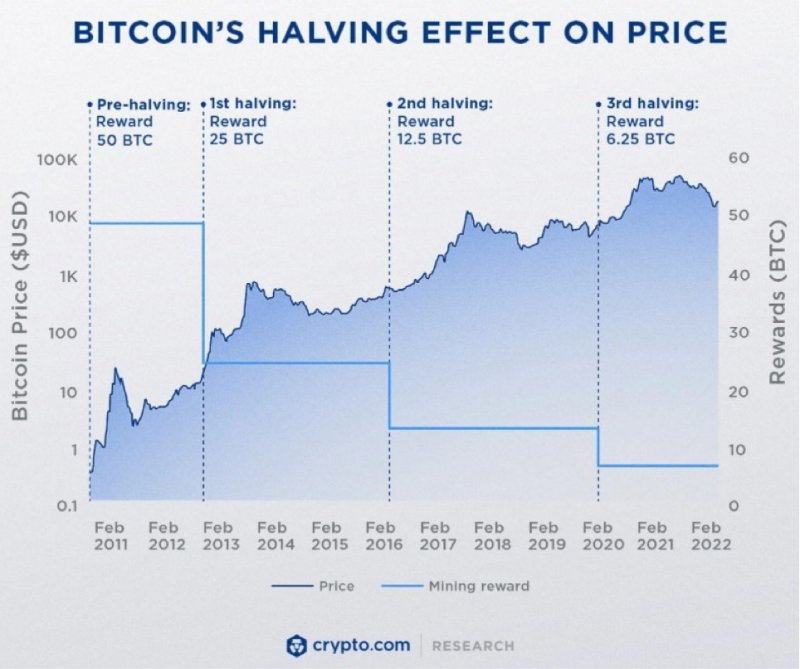 Unlocking the Future: Navigating Bitcoin Halving 2024 and Its Impact on ...