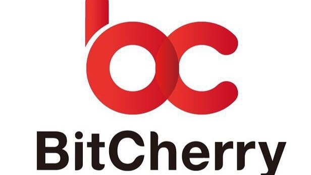 Introduction To Bitchery