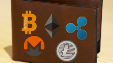 Los 8 mejores wallets para tus criptomonedas