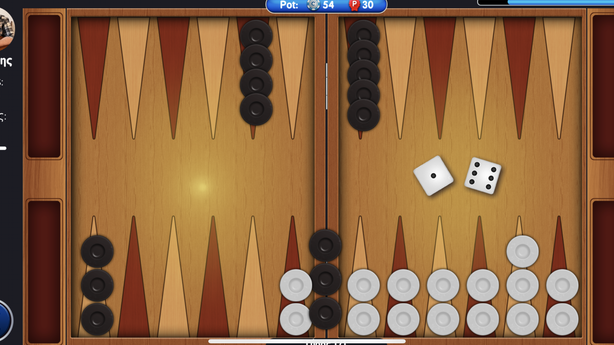 Professional backgammon session