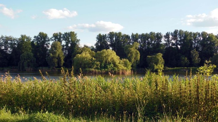 Saturday was marked by changing moods - My Actifit Report Card: June 22 ...