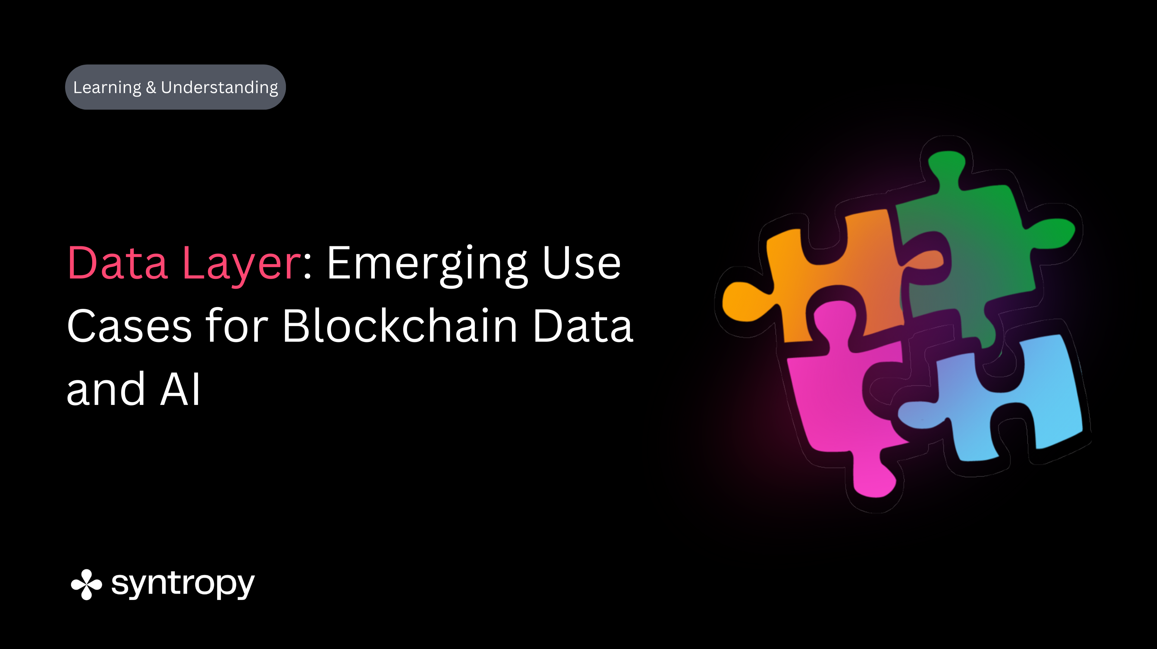 Syntropy Data Layer: Emerging Use Cases for Blockchain Data and AI