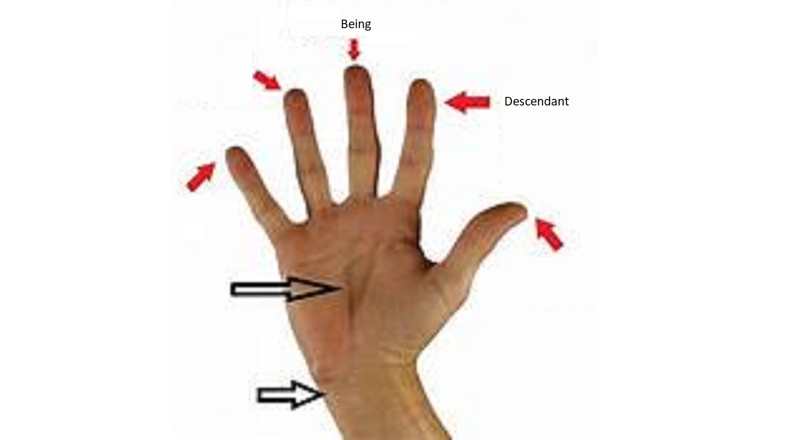 Toward a More Endurable Proprioceptive Methodology