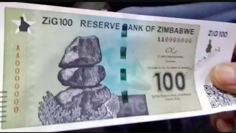 Zimbabwe Govt Enforcing Acceptance of Zig Currency for Business
