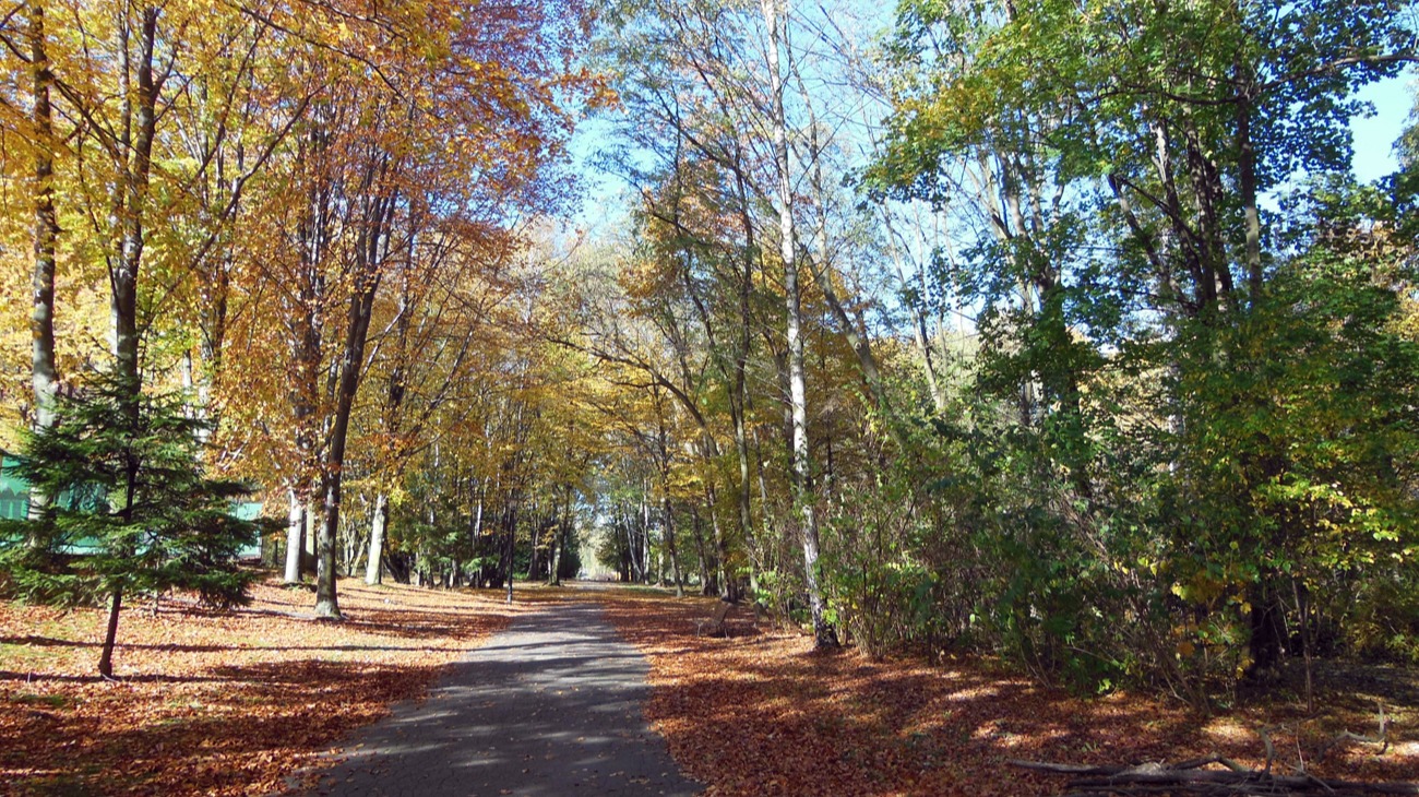 Continuation of beautiful autumn weather - first November walks - My ...