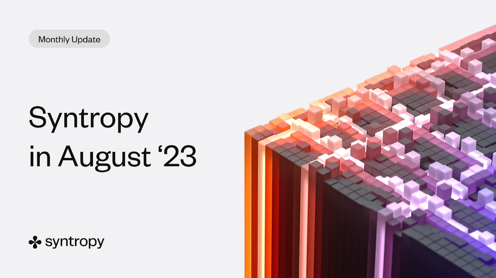 Syntropy August Monthly Update: Showcase Unveiled, CTO Insights, and Ambassador Program Revamp