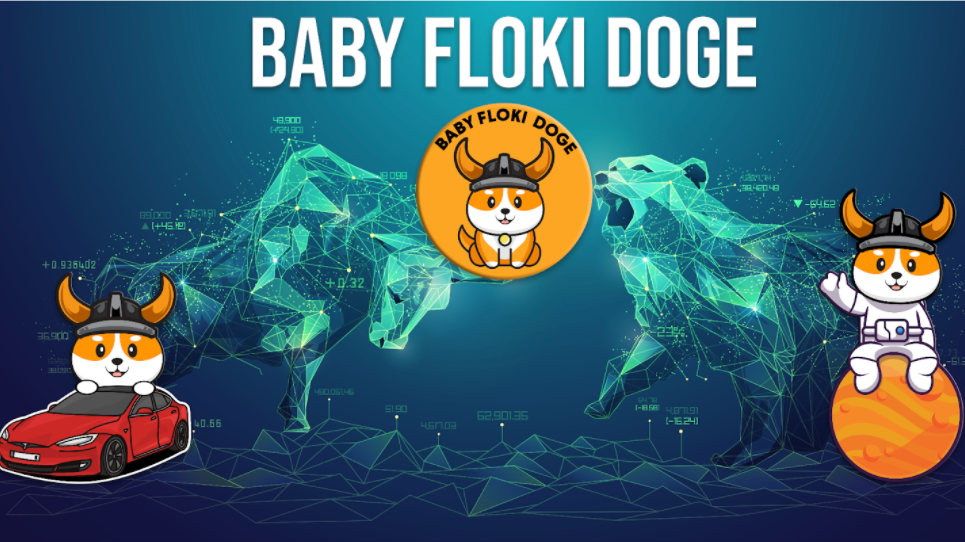 Baby Floki Doge | With Over 12000 Holders Set To Reach The Moon