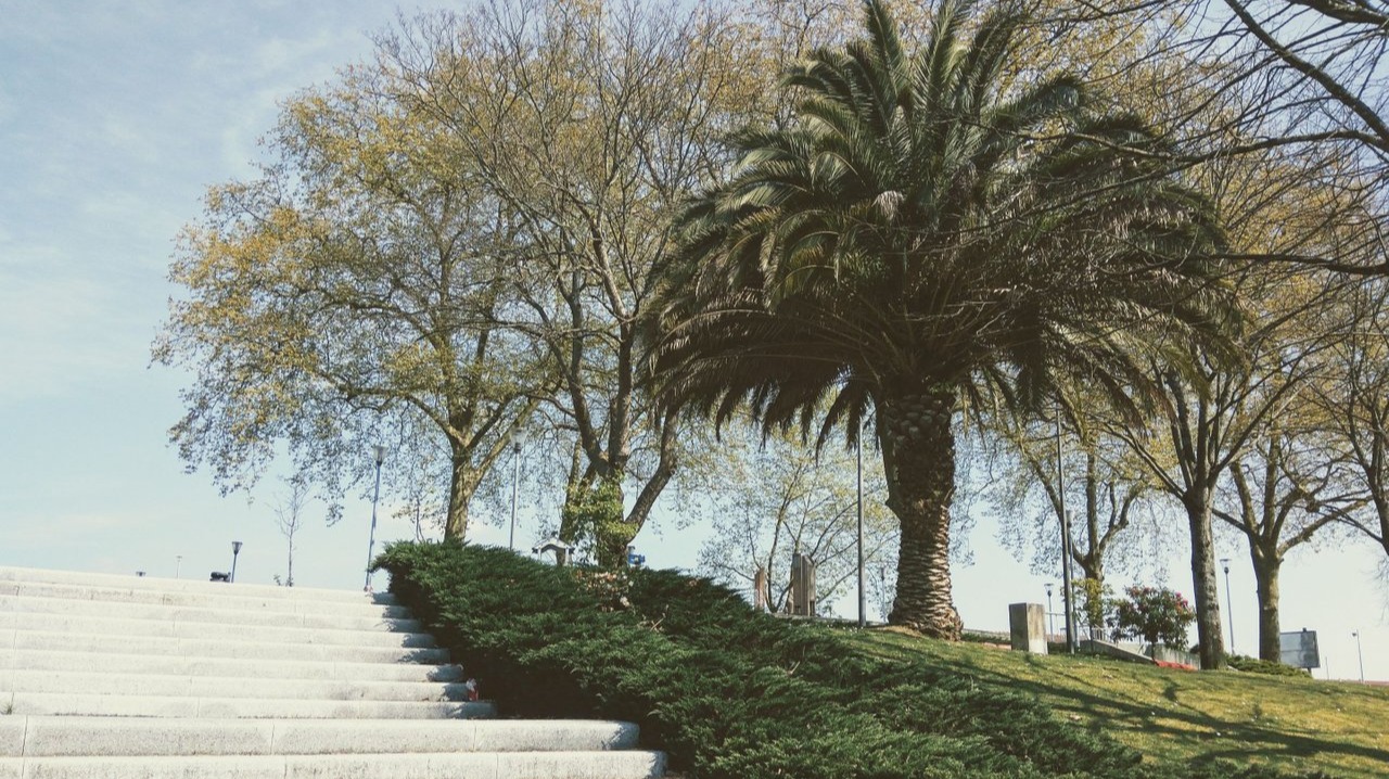 Trip Portugal - Valongo city walk #3