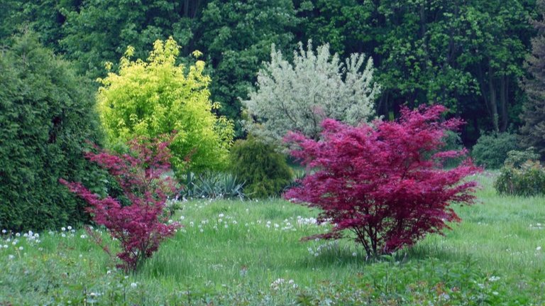 Positive day and trees in beautiful colors - Mu Actifit Report Card ...