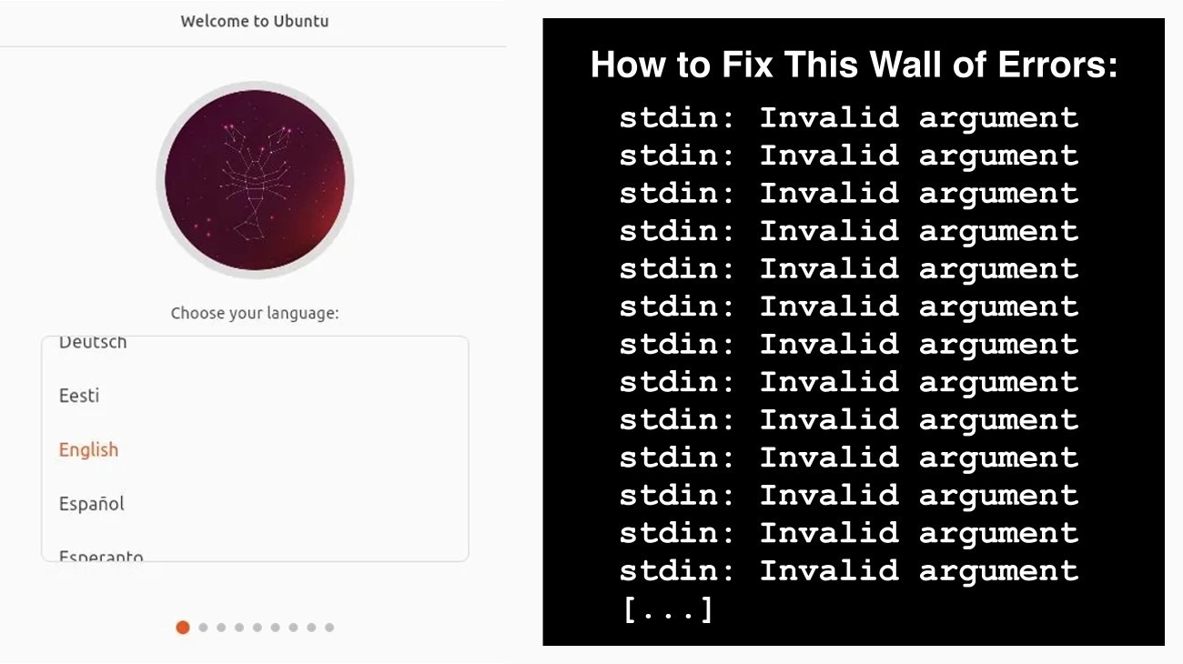 The Journey of Resolving Ubuntu Installer Issues ("stdin: Invalid argument")