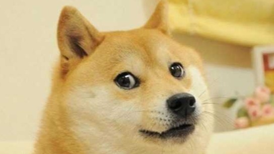 The current fall of Doge. Where will it go this time?