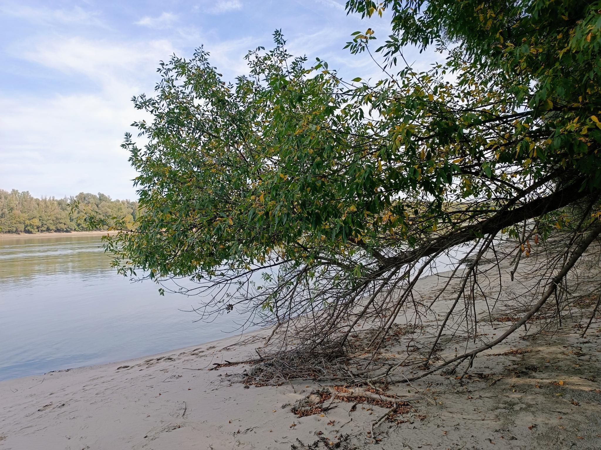 Liberty Island in Liberland!