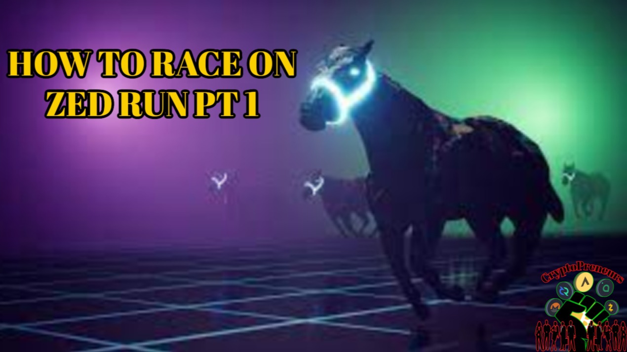 How To Race On Zed Run