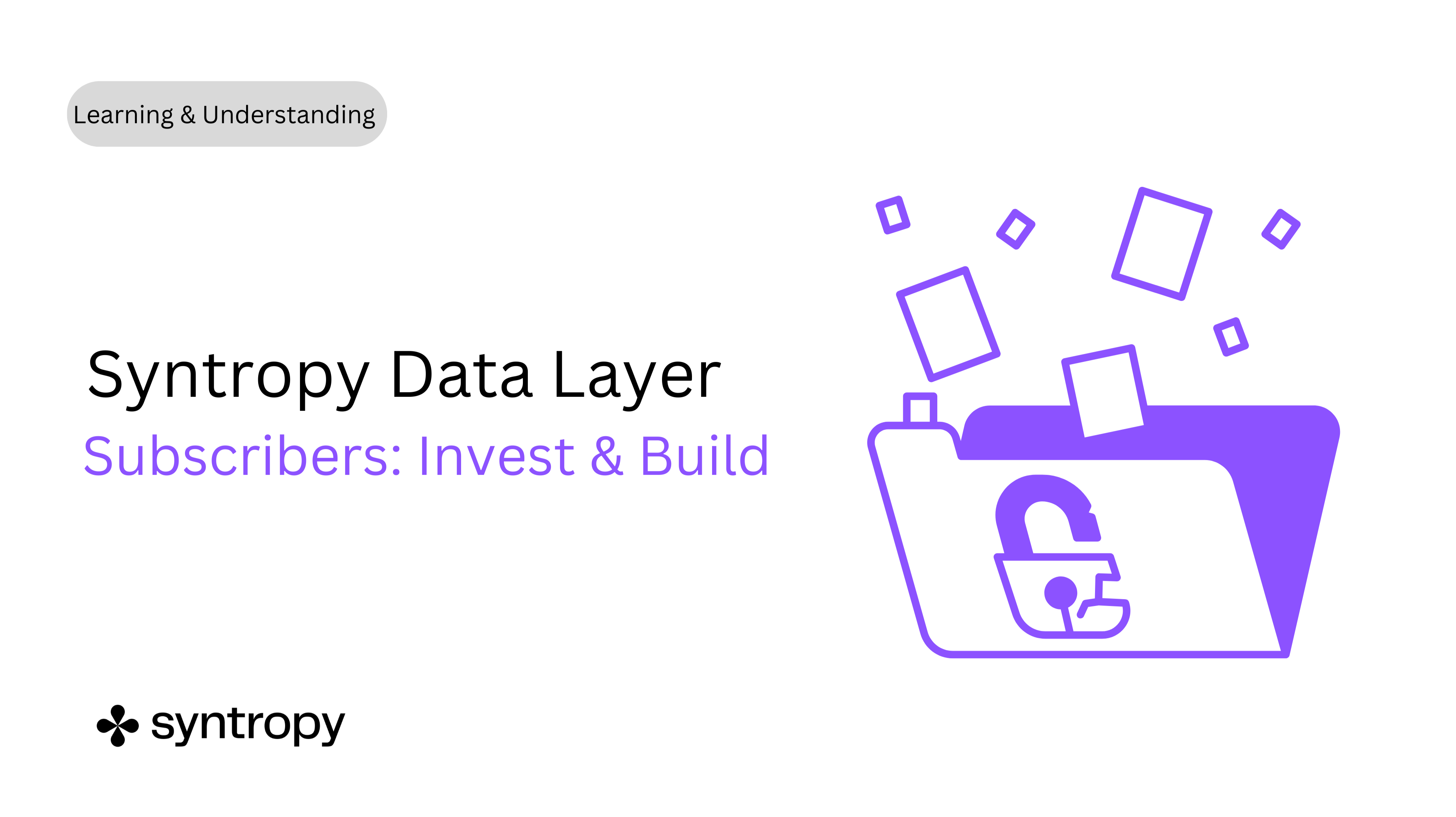 Syntropy Data Layer: Actors (Subscriber)