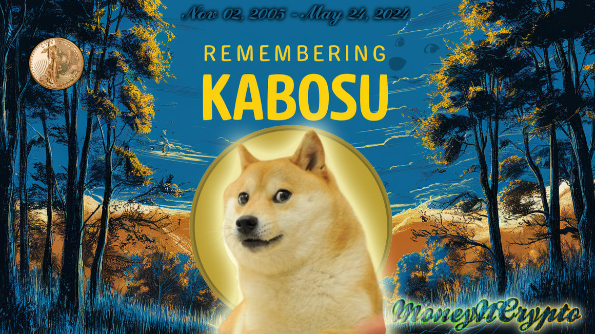 Remembering Kabosu: The Dog Who Took Over The Internet