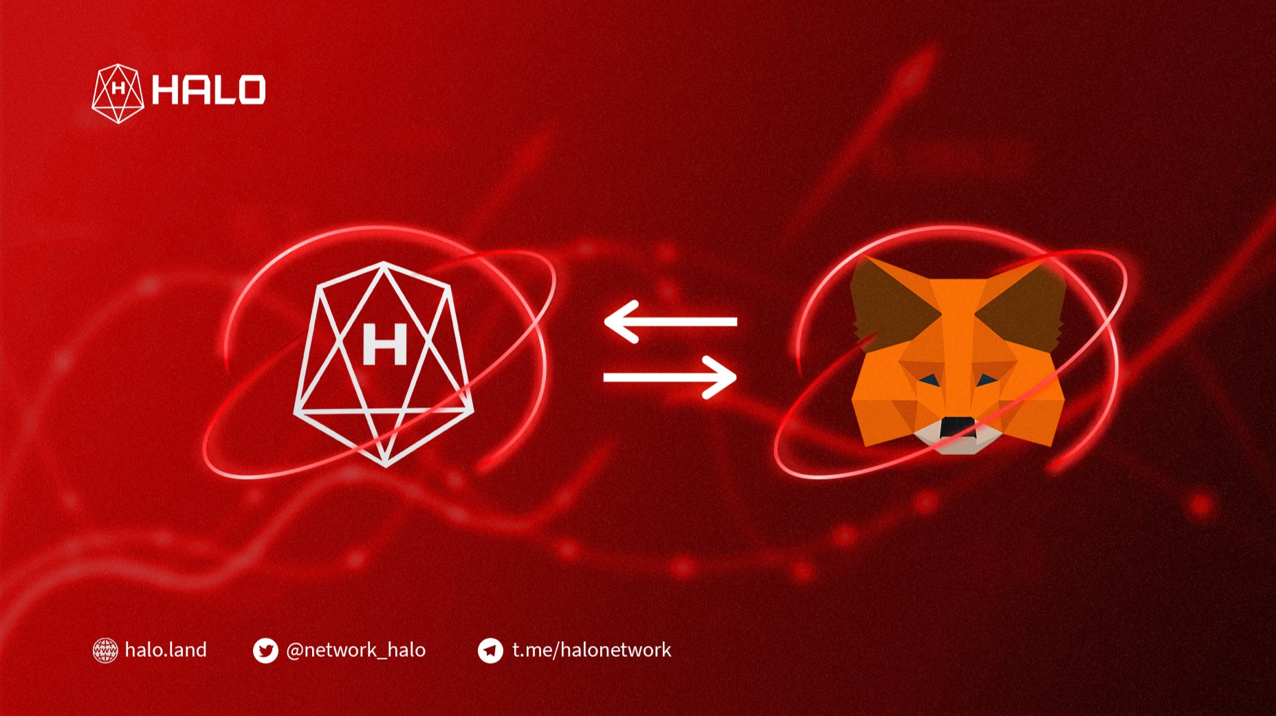 How to Connect HALO Network To Metamask