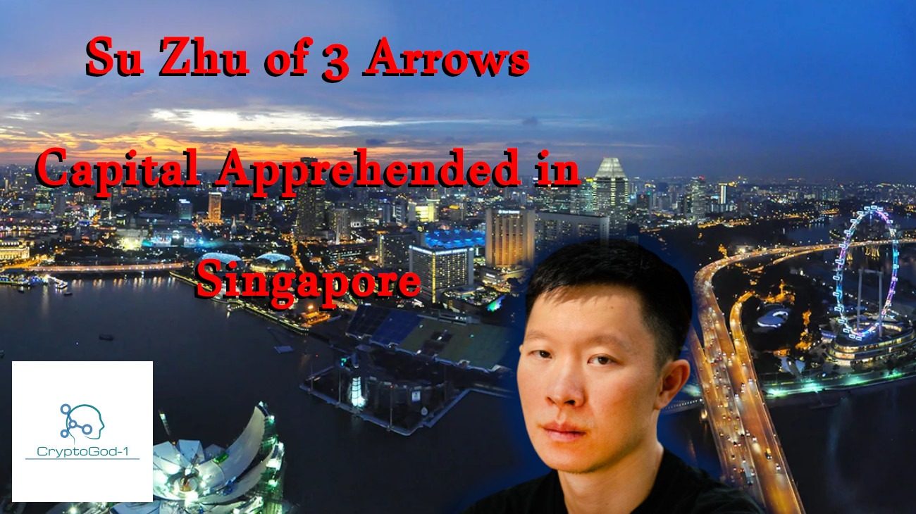 Su Zhu of 3 Arrows Capital Apprehended in Singapore