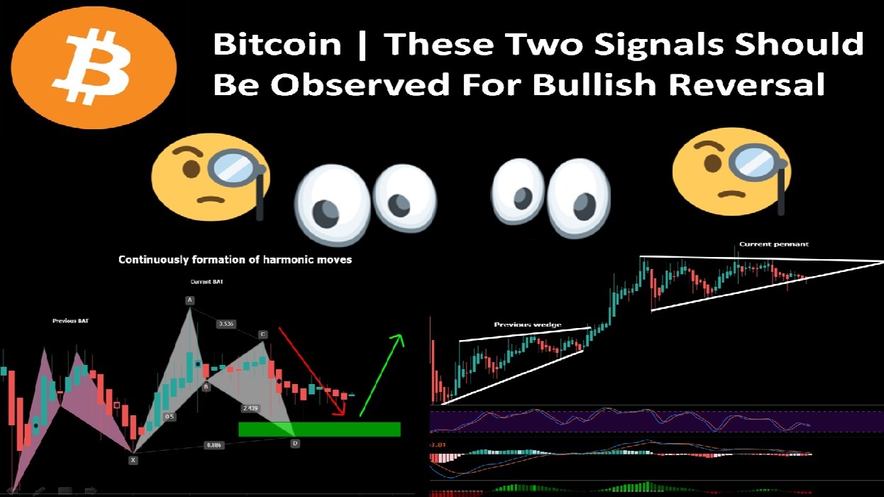 Bitcoin | These Two Signals Should Be Observed For Bullish Reversal