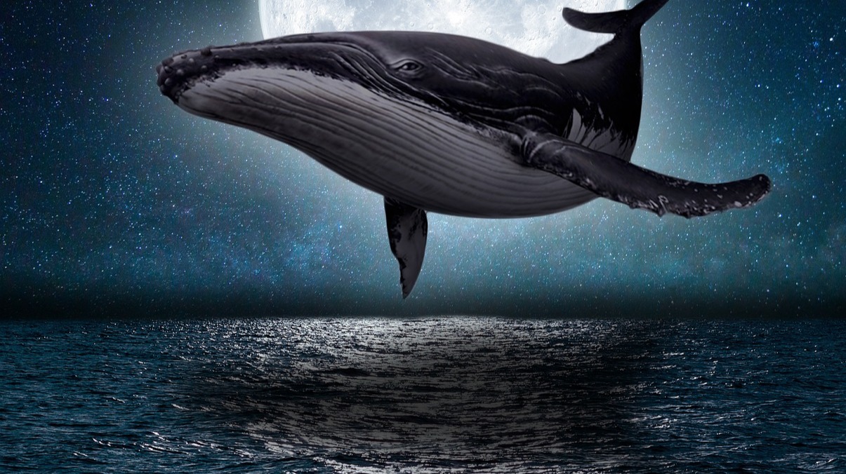 The whale of crypto and A Cup of Coffee.