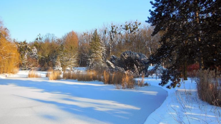 A walk at minus 10 degrees is quite pleasant - the condition is - a lot ...