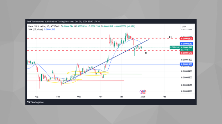 PEPE/USD Analysis: Support and Resistance Levels with Year-End ...